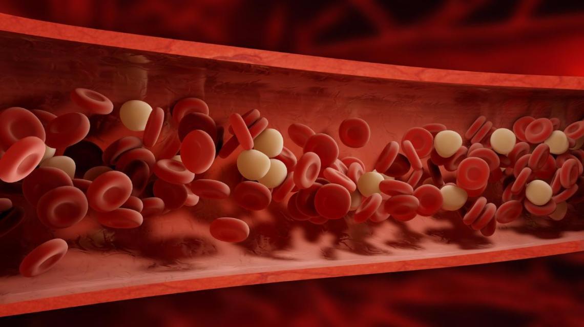 10 Household Techniques to Combat Anemia
